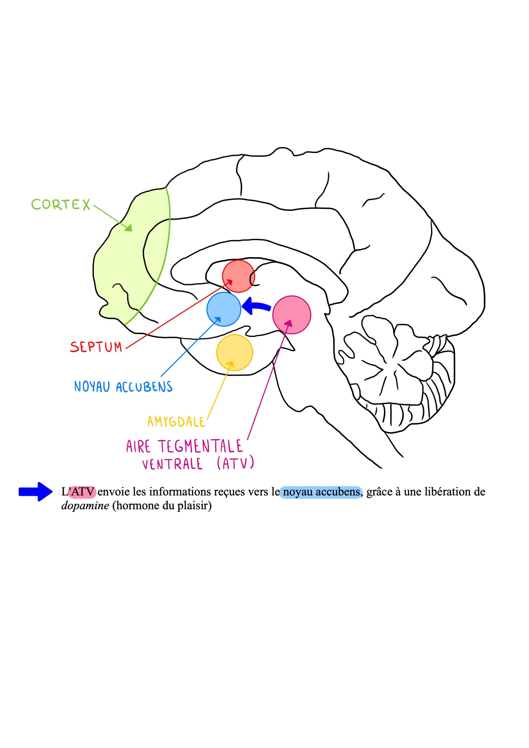 Cform - Être heureux au travail